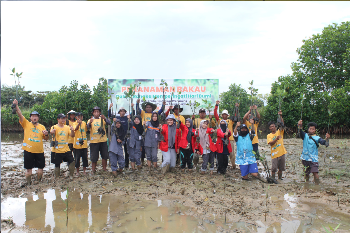 Perayaan Hijau: KKP Menanam 1.000 Mangrove di Maros untuk Memperingati ...